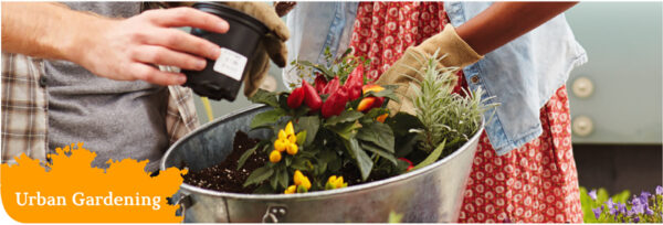 Gradinar.ro - Magazinul online pentru gradinarit.