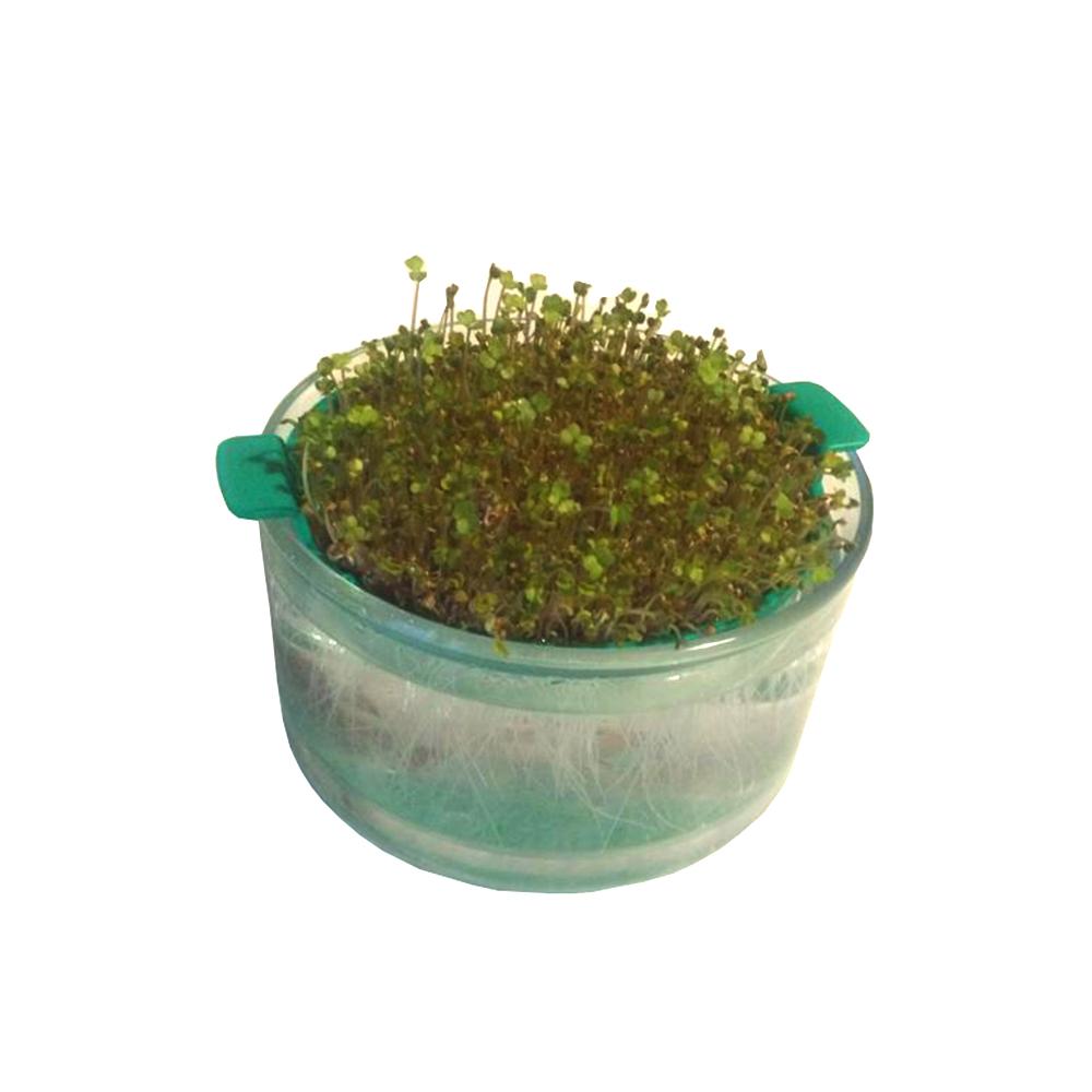 Vas de germinare Blumen pentru micro-plante si germeni pentru consum ...